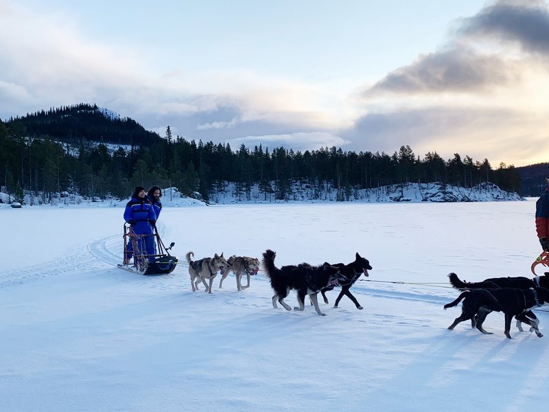 Llambis Tanzduell S01E02: Norwegen (Halling) – fernsehserien.de