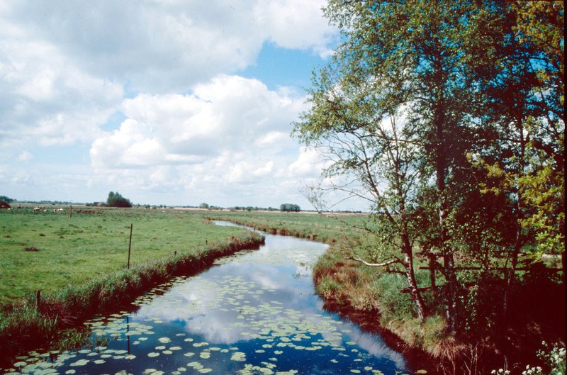 Ostfriesland – Sieben Inseln und ein Meer – fernsehserien.de