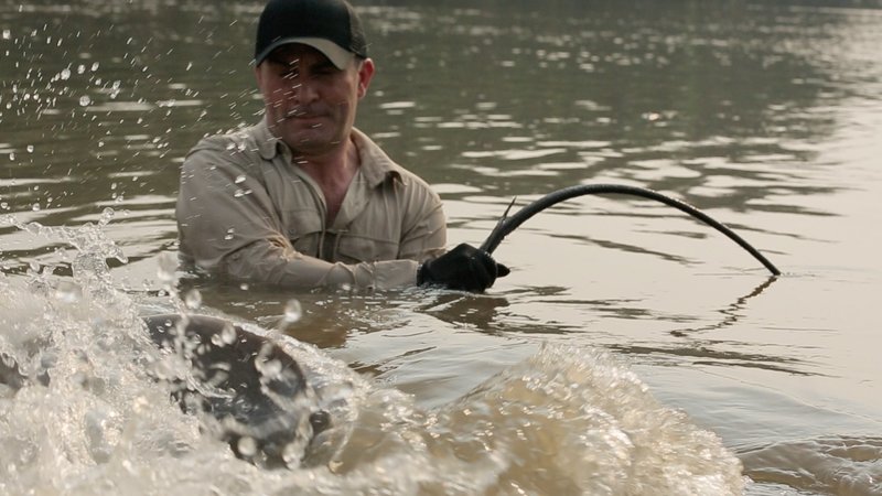 Chasing Monsters Staffel 2: Monsterfische am Haken Episodenguide ...