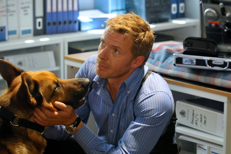 Kommissar Rex (2008) Staffel 1 Episodenguide – fernsehserien.de