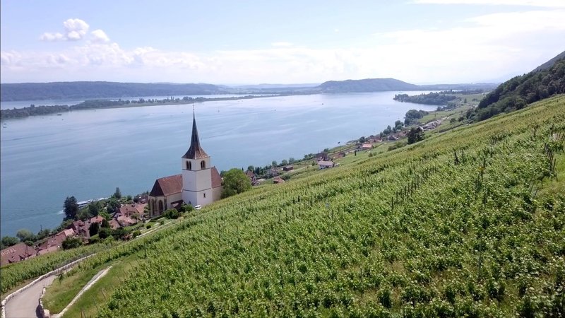 Inseln der Schweiz S01E03: St. Petersinsel, grünes Juwel im Bielersee ...