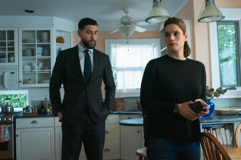 FBI: Special Crime Unit S02E08: Codename: Ferdinand (Codename ...