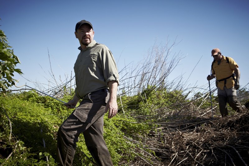 Floridas Python-Jäger S02E05: Puerto Ricos Riesen (Monsters Of Puerto ...