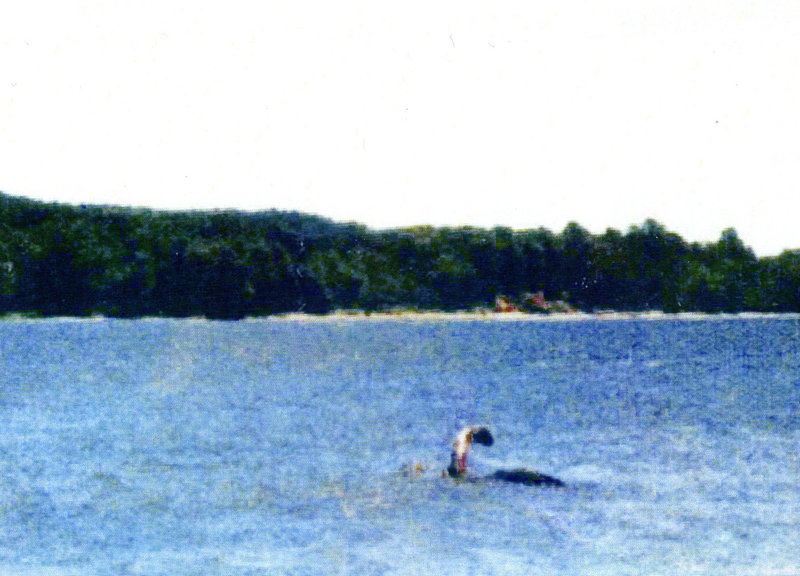 MonsterQuest Staffel 1 Episodenguide – fernsehserien.de