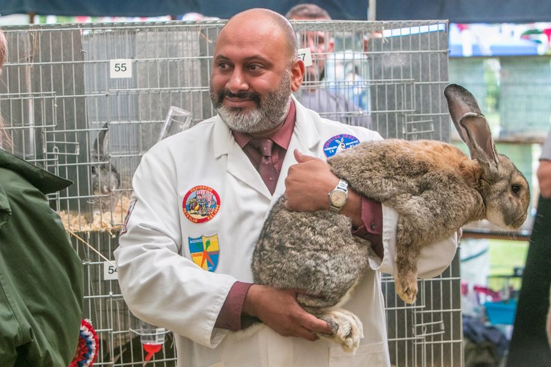 Inspector Barnaby Staffel 19 Episodenguide – fernsehserien.de