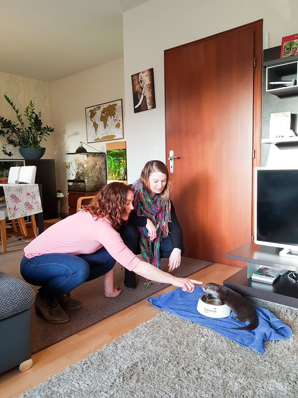 Tierisch beste Freunde – mit Kate Kitchenham Staffel 1 Episodenguide ...