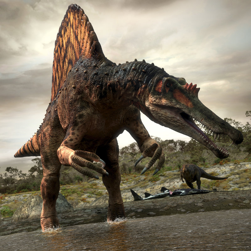 Terra X Der Dino-Planet: 1. Kampf der Giganten (Lost World ...
