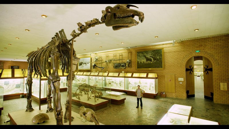 Giganten der Urzeit Dokumentation in 2 Teilen Episodenguide ...