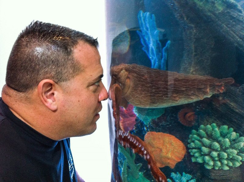 Die Aquarium-Profis S03E16: DMAX-Folge 36 (Tracy And His Octopus ...