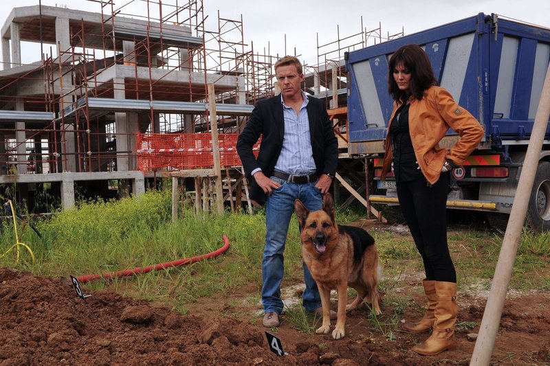 Kommissar Rex (2008) Staffel 1 Episodenguide – fernsehserien.de