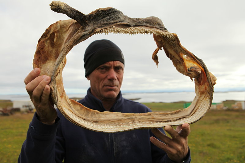 Fluss-Monster S05E07L: Das Geheimnis von Loch Ness (Legend Of Loch Ness ...