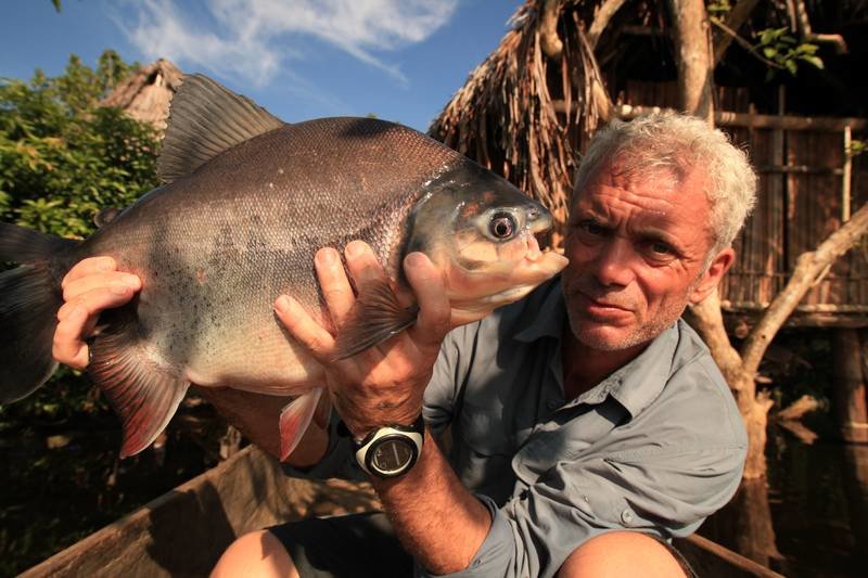 Fluss-Monster Staffel 3 Episodenguide – fernsehserien.de