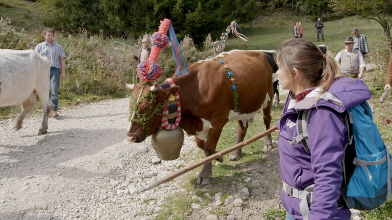 Anna auf der Alm 05: Abschied nehmen – fernsehserien.de