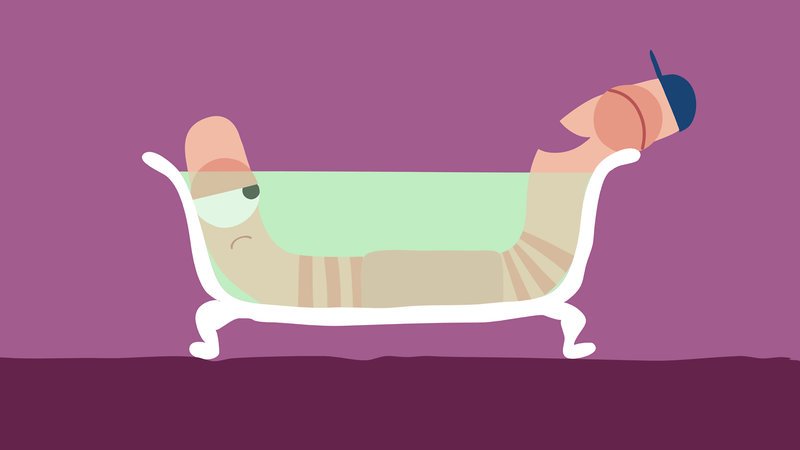 Animanimals S01E13: Regenwurm – fernsehserien.de