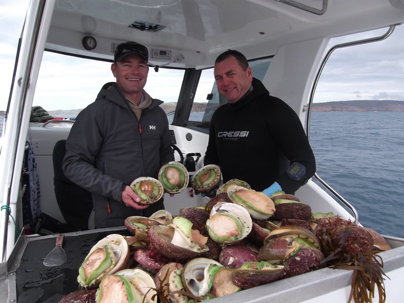 Die Abalonen-Taucher Staffel 2 Episodenguide – fernsehserien.de