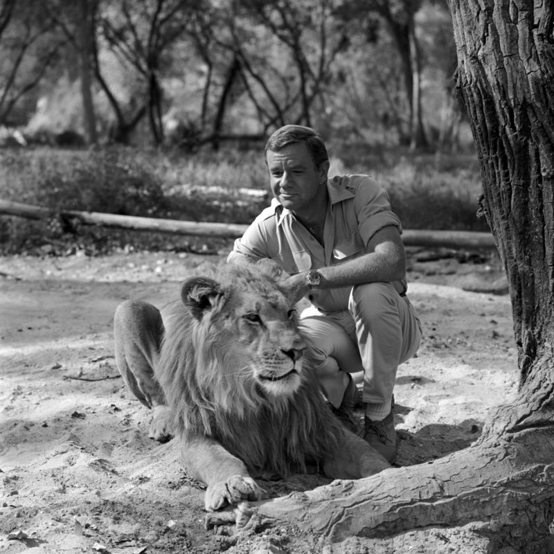 Daktari Staffel 2 Episodenguide – fernsehserien.de