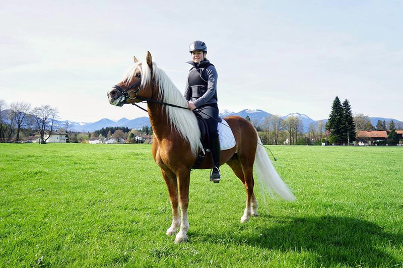 Anna und die Haustiere 60: Haflinger – fernsehserien.de