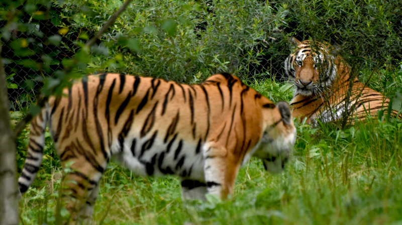 Leopard, Seebär & Co. Staffel 5 Episodenguide (Seite 2) – fernsehserien.de