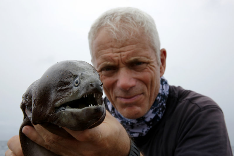 Fluss-Monster S08E01: Der Riemenfisch (Deep Sea Demon) – fernsehserien.de