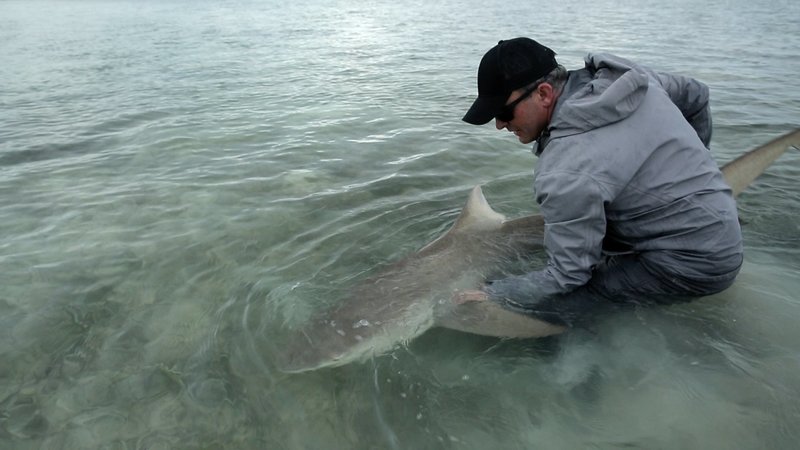 Chasing Monsters Staffel 4 Episodenguide – fernsehserien.de