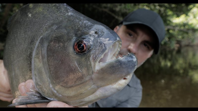 Chasing Monsters Staffel 3 Episodenguide – fernsehserien.de