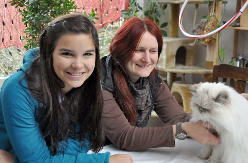 Anna und die Haustiere bisher 78 Folgen Episodenguide – fernsehserien.de