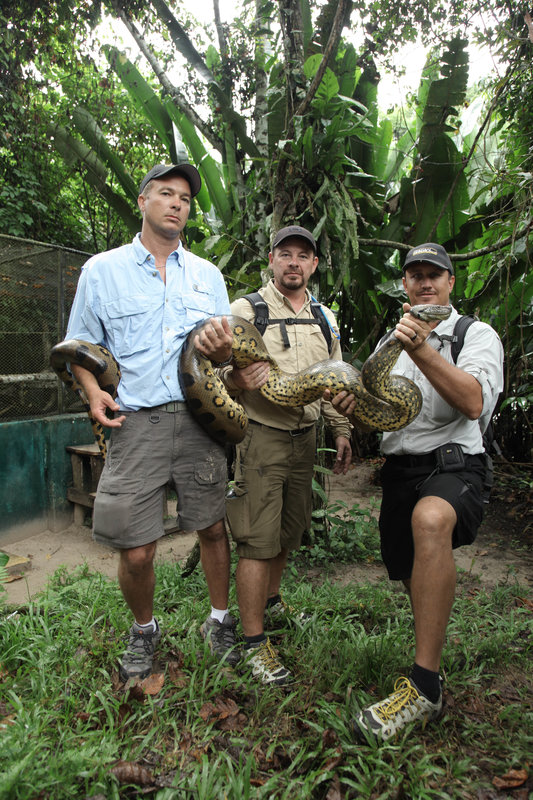 Floridas Python-Jäger S03E10: Bangkoks Biester (Bangkok Beasts ...