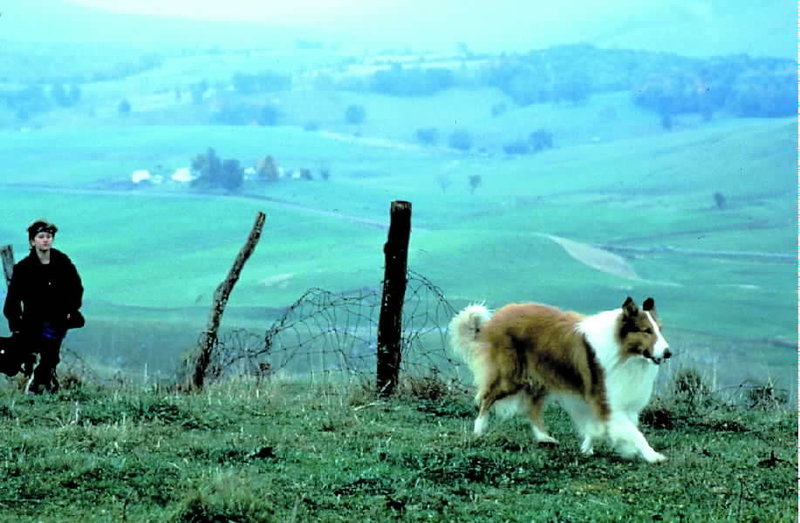 Lassie – fernsehserien.de