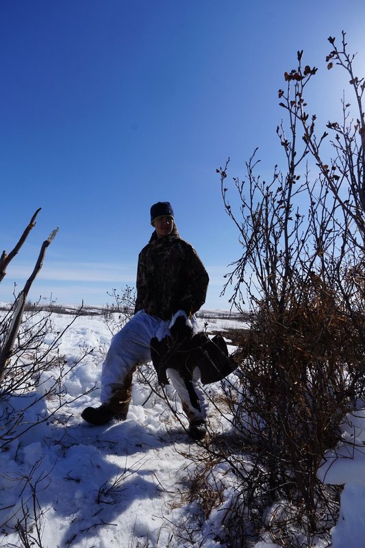 Life Below Zero – Überleben in Alaska Staffel 8 Episodenguide ...