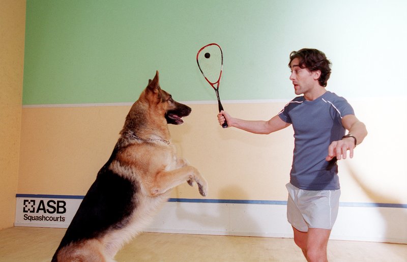 Kommissar Rex (1994) Staffel 8 Episodenguide – fernsehserien.de