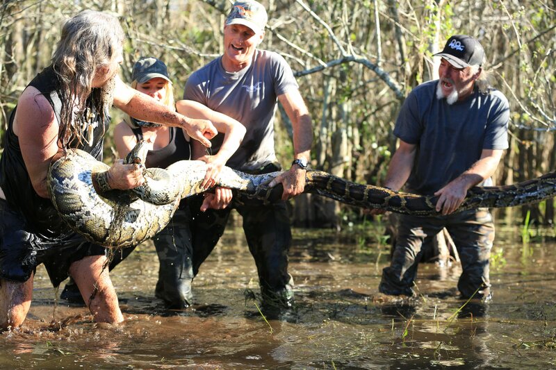 Die Pythonjäger – Einsatz in den Everglades Staffel 1 Episodenguide ...