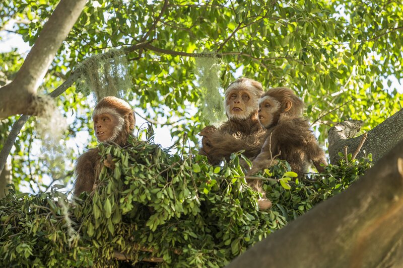 Die ersten Menschen Dokumentation in 2 Teilen Episodenguide ...