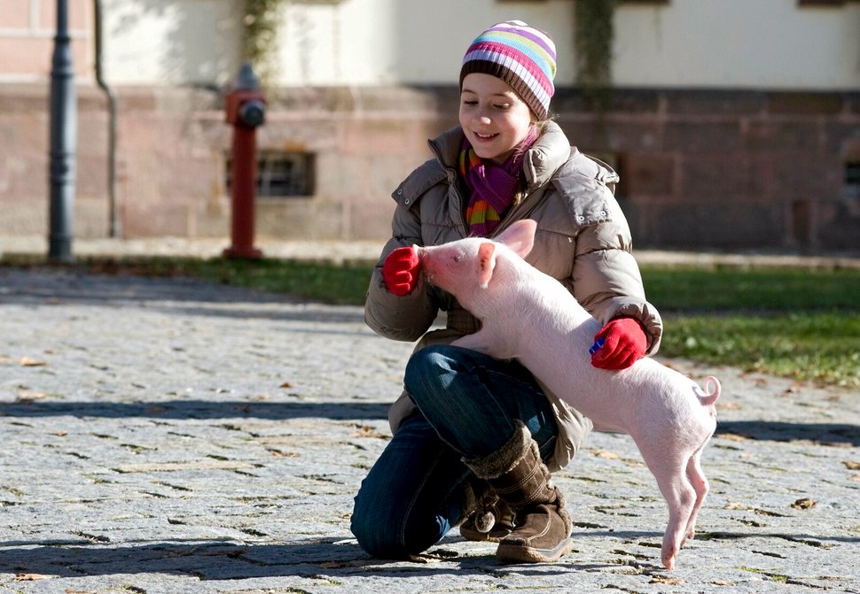 Tiere bis unters Dach S01E13: Schwein gehabt – fernsehserien.de