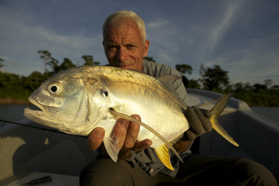 Fluss-Monster S05E05: Neunaugen (Vampires Of The Deep) – fernsehserien.de