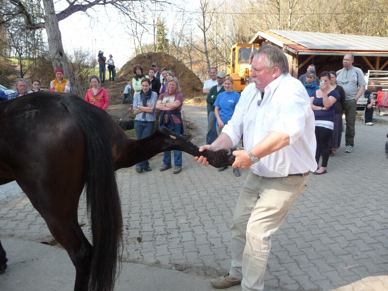 Tamme Hanken – Der Knochenbrecher on Tour Staffel 1 Episodenguide ...