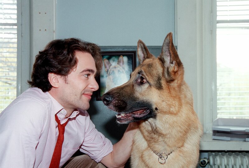 Kommissar Rex (1994) Staffel 8 Episodenguide – fernsehserien.de