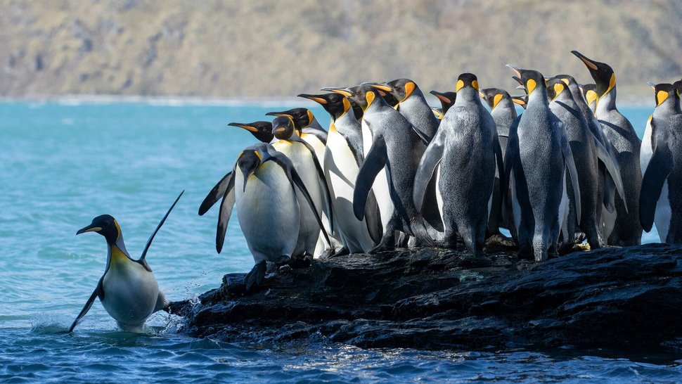 Terra X Sieben Kontinente – Ein Planet: 1. Antarktika – fernsehserien.de