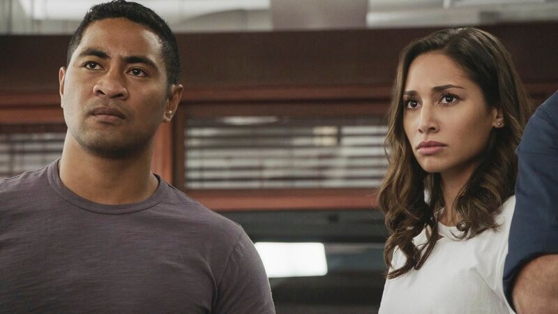 Hawaii Five-0 S09E25: Das Leben geht weiter (Hana Mao ’ole Ka Ua O ...