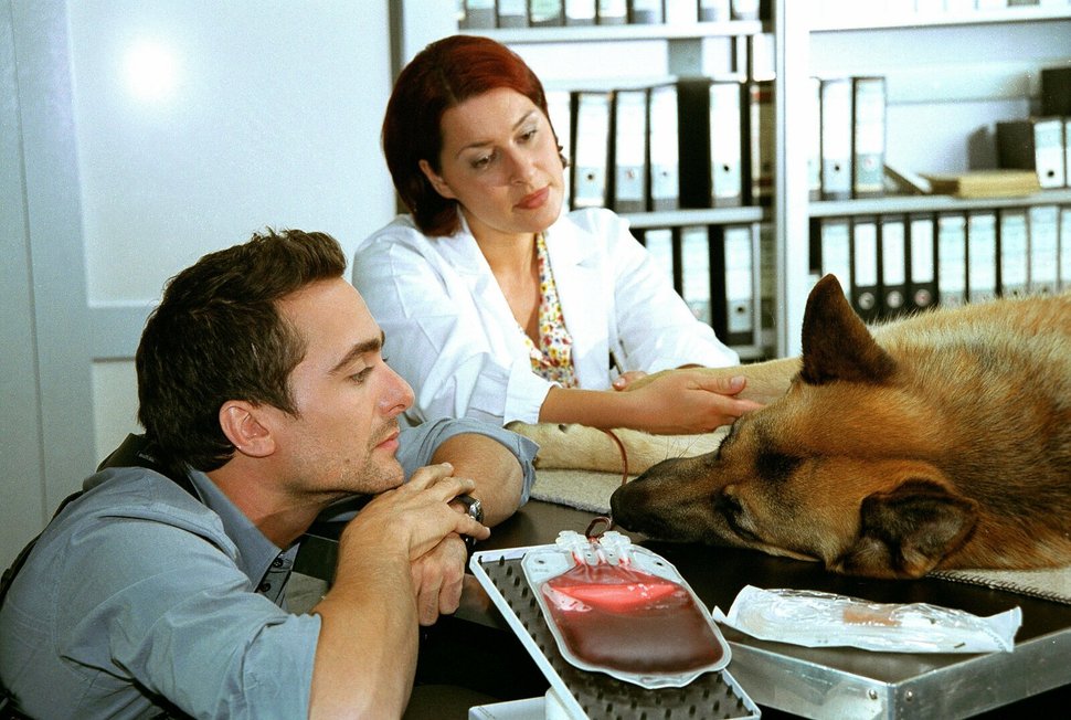 Kommissar Rex (1994) S09E11: Hexen und andere Frauen – fernsehserien.de