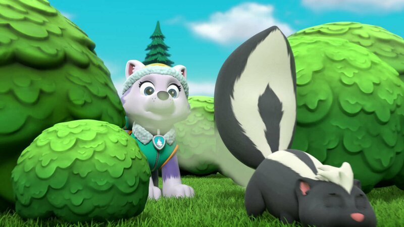 Paw Patrol S03E20a: Das Stinktier (Pups Get Skunked) – fernsehserien.de