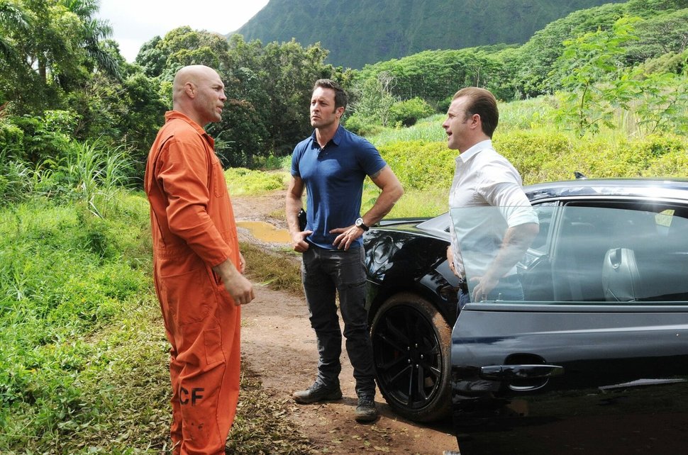 Hawaii Five-0 S06E02: Feuer und Flamme (Lehu A Lehu) – fernsehserien.de