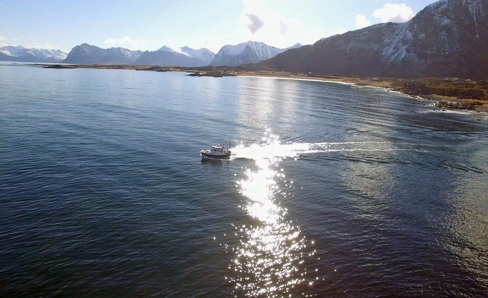 Länder – Menschen – Abenteuer (lma) Golfstrom – Der große Fluss am Meer ...
