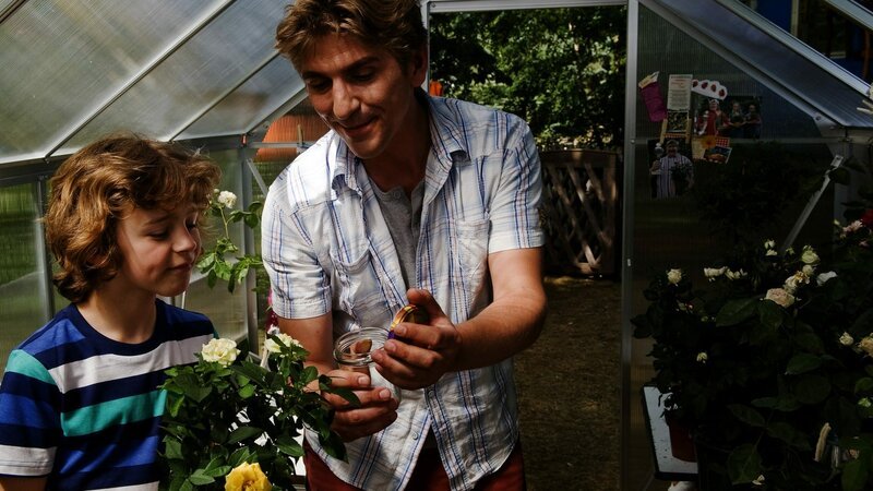 Löwenzahn 275: Marienkäfer – Das große Fressen – fernsehserien.de