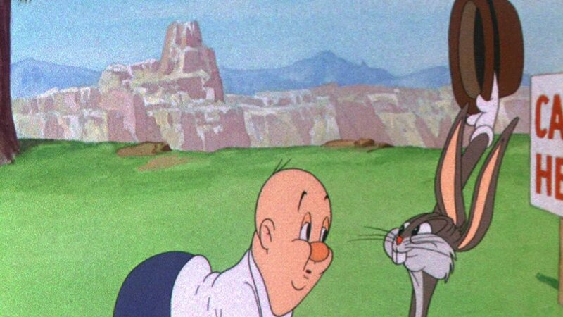 Bugs Bunny und Looney Tunes 19: Schildkröte besiegt Hasen (Tortoise ...