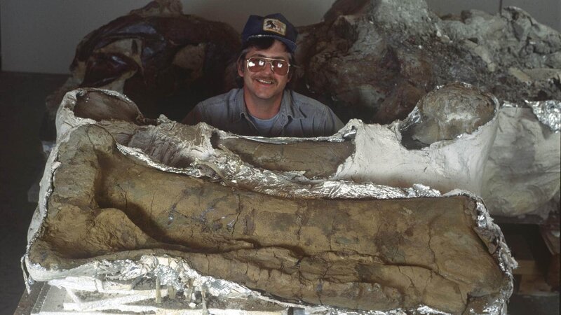 Dinosaurier 13 – fernsehserien.de