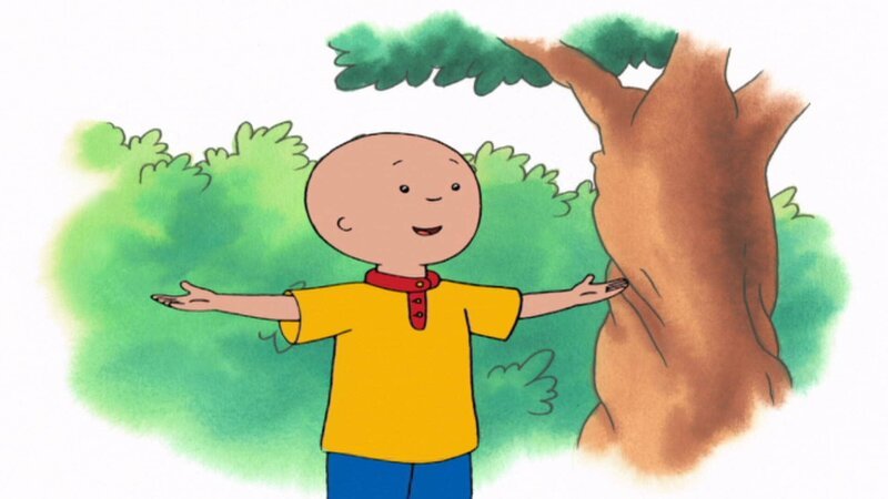 Caillou S02E07b: Gemeinsam ist es lustiger (Something for Everybody ...
