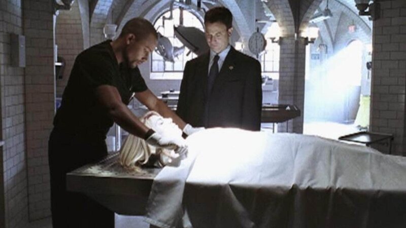 CSI: New York Staffel 1 Episodenguide – fernsehserien.de