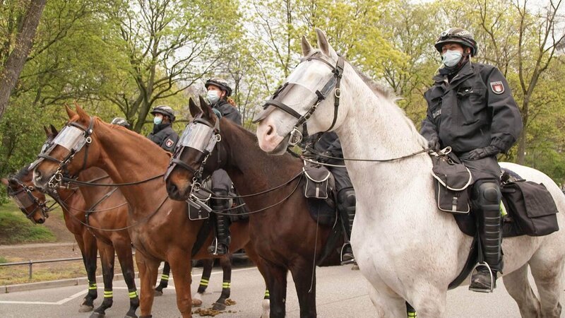 Polizeipferde im Einsatz 02: Teil 2 – fernsehserien.de
