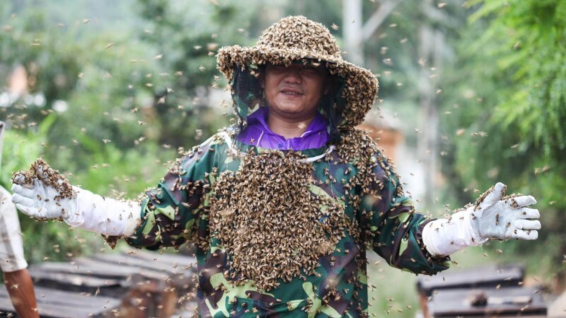 Die Honigsammler von Yunnan – fernsehserien.de