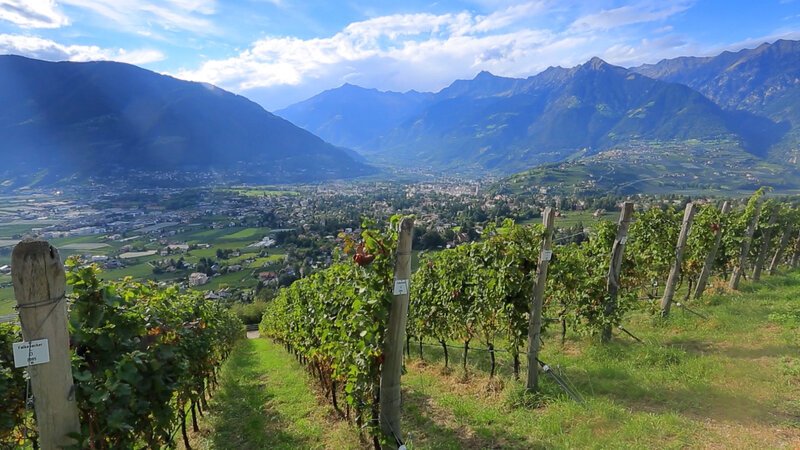 Weinland Südtirol – fernsehserien.de